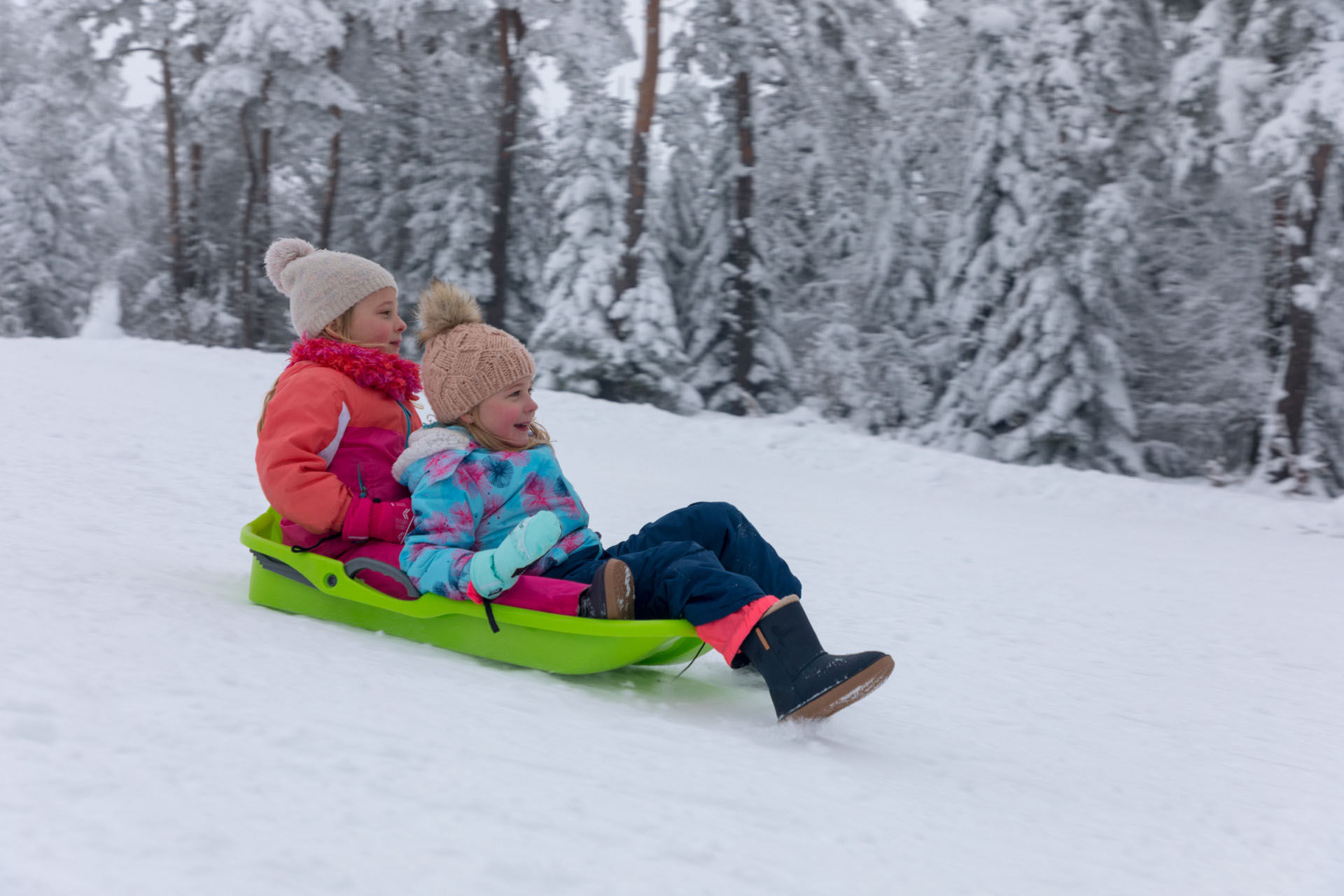 Sledging in Super-Besse, sledging track in Mont-Dore, sledging carpet
